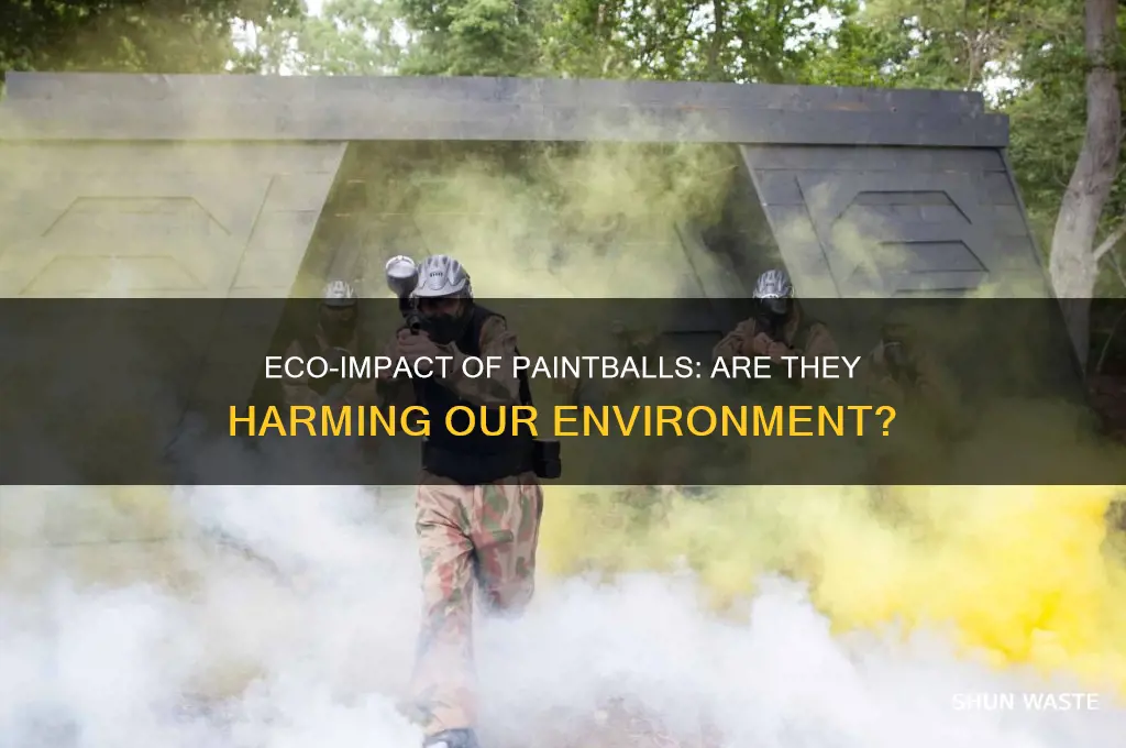 Eco-Impact Of Paintballs: Are They Harming Our Environment? | ShunWaste