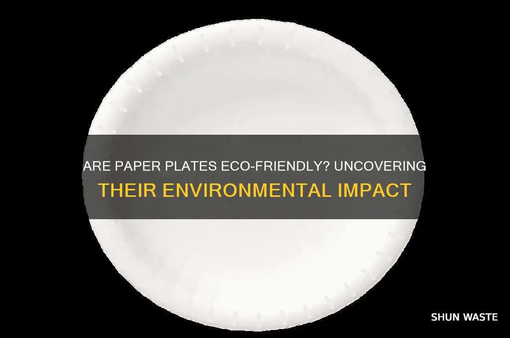 Are Paper Plates Eco-Friendly? Uncovering Their Environmental Impact ...