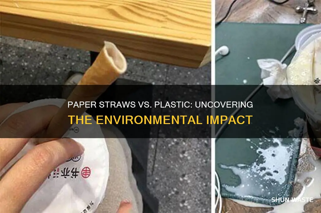 Paper Straws Vs. Plastic: Uncovering The Environmental Impact | ShunWaste