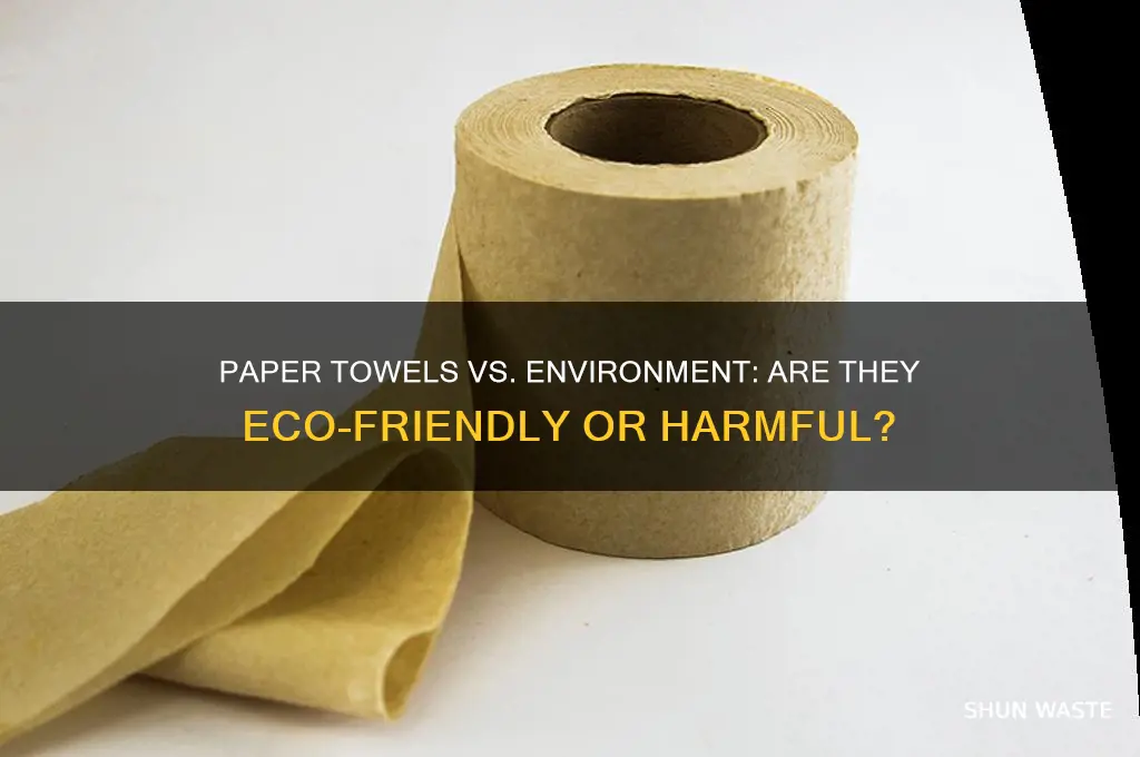 Paper Towels Vs. Environment: Are They Eco-Friendly Or Harmful? | ShunWaste