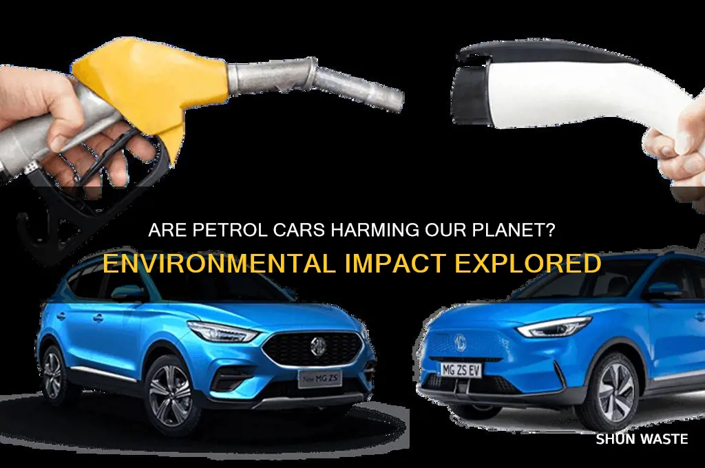 Are Petrol Cars Harming Our Planet? Environmental Impact Explored ...
