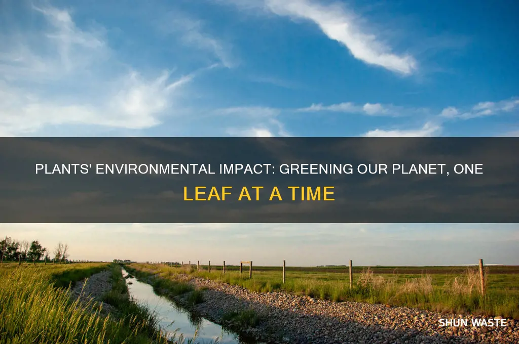 Plants' Environmental Impact: Greening Our Planet, One Leaf At A Time ...