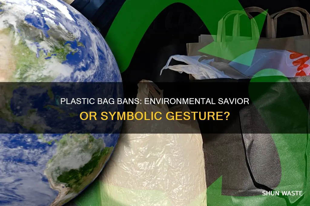 Plastic Bag Bans: Environmental Savior Or Symbolic Gesture? | ShunWaste