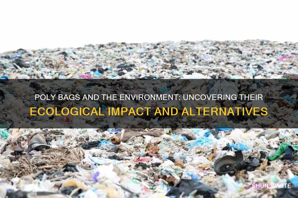 Poly Bags And The Environment: Uncovering Their Ecological Impact And ...