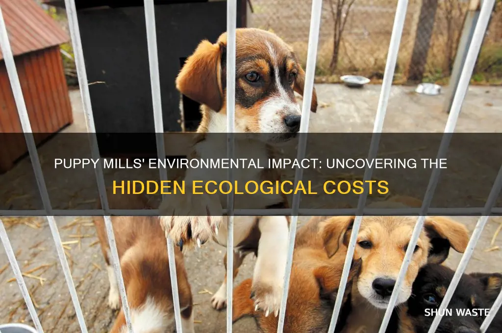 Puppy Mills' Environmental Impact: Uncovering The Hidden Ecological ...