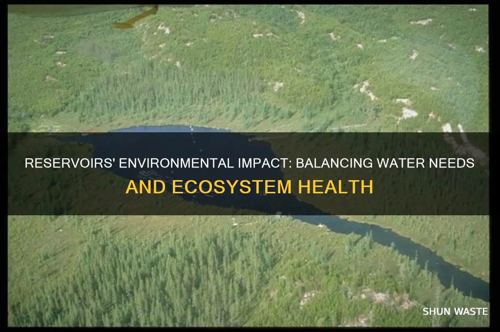 Reservoirs' Environmental Impact: Balancing Water Needs And Ecosystem ...
