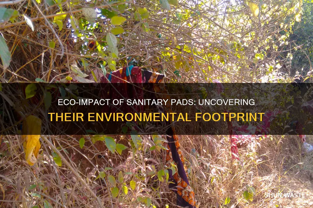 Eco-Impact Of Sanitary Pads: Uncovering Their Environmental Footprint ...