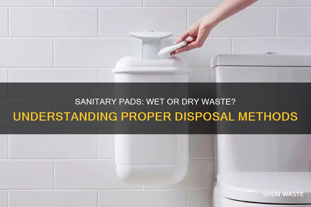Sanitary Pads: Wet Or Dry Waste? Understanding Proper Disposal Methods ...