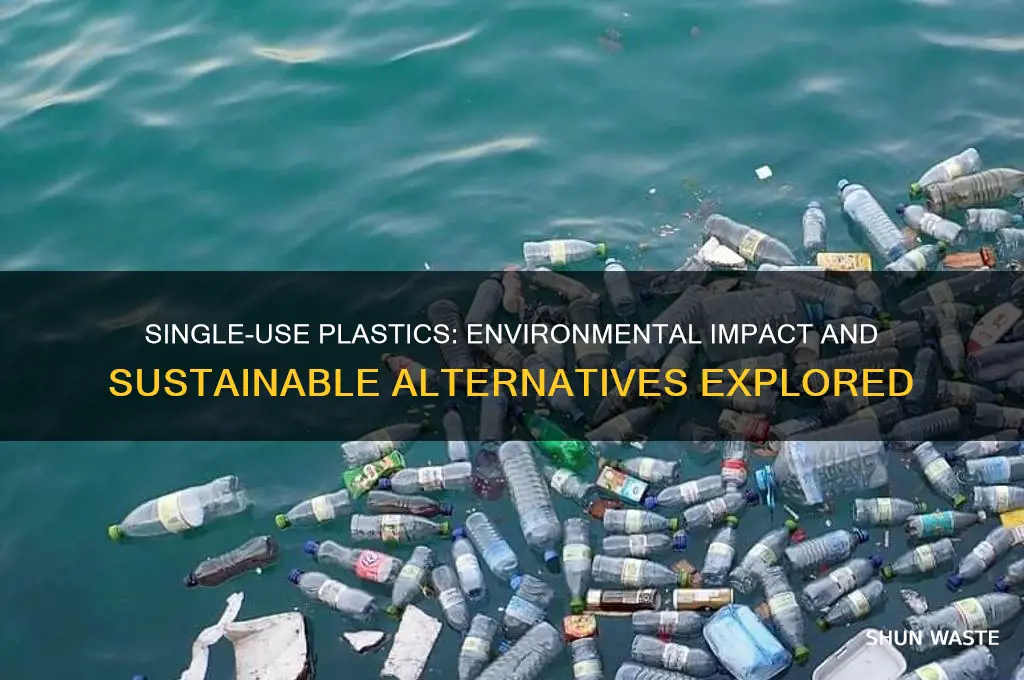Single-Use Plastics: Environmental Impact And Sustainable Alternatives ...