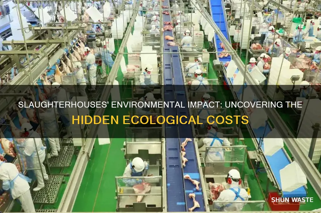 Slaughterhouses' Environmental Impact: Uncovering The Hidden Ecological ...