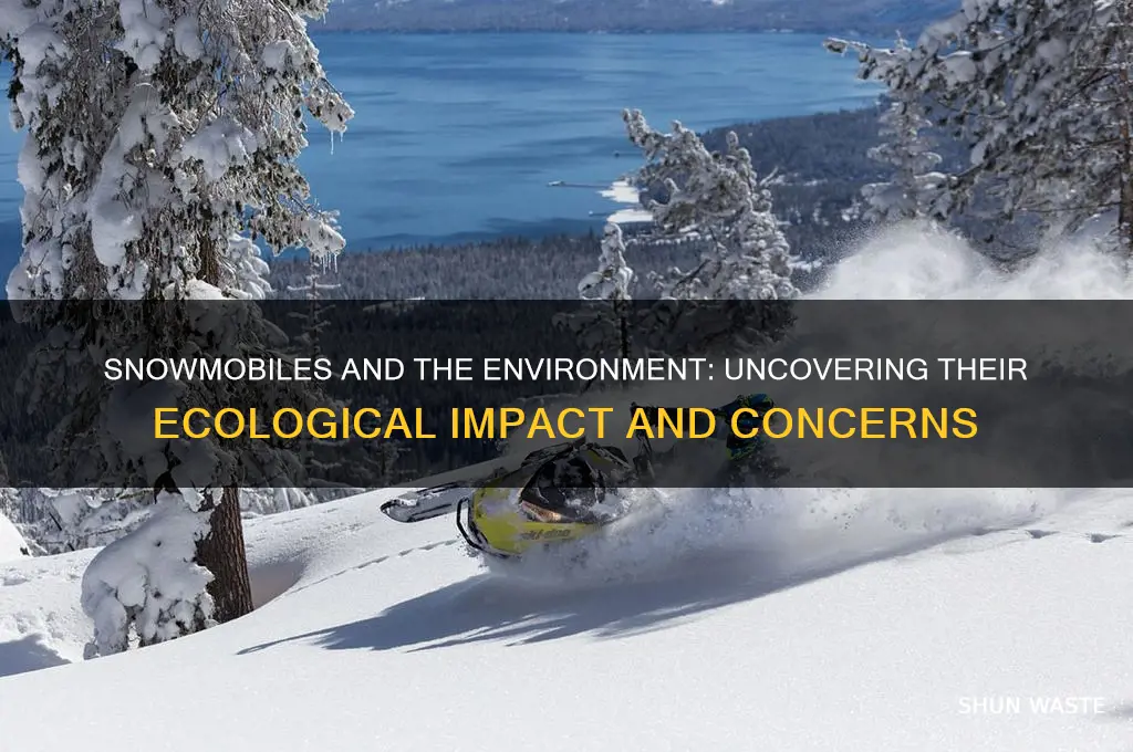 Snowmobiles And The Environment: Uncovering Their Ecological Impact And ...