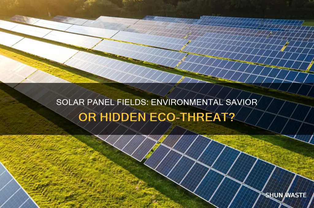 Solar Panel Fields: Environmental Savior Or Hidden Eco-Threat? | ShunWaste