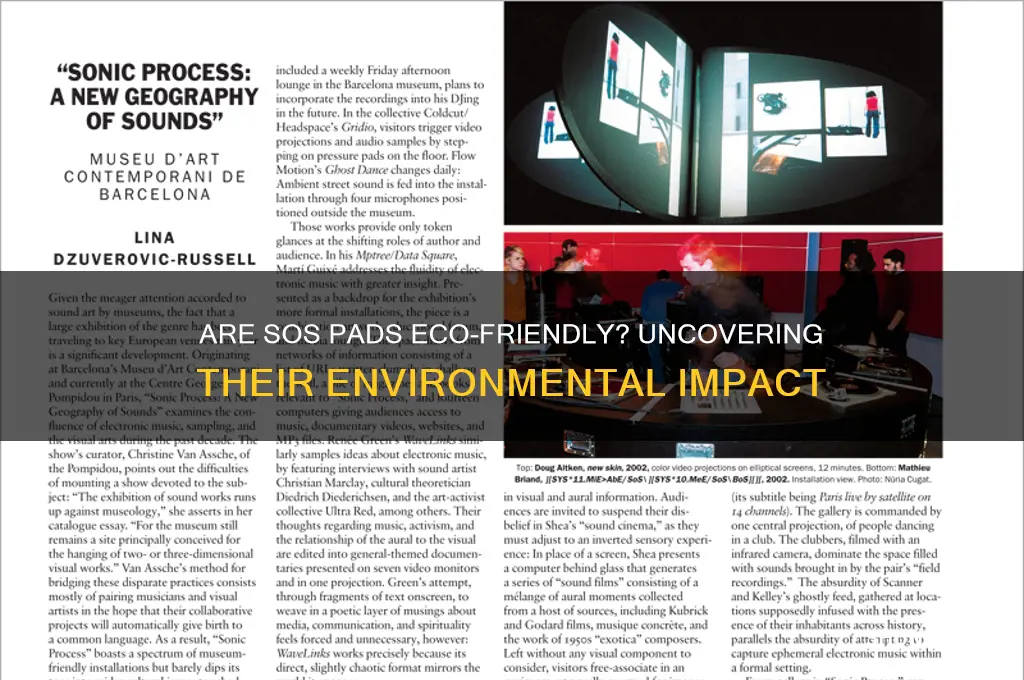 Are Sos Pads Eco-Friendly? Uncovering Their Environmental Impact ...