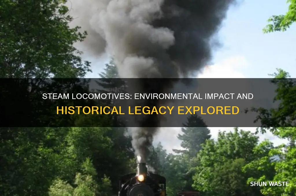 Steam Locomotives: Environmental Impact And Historical Legacy Explored ...