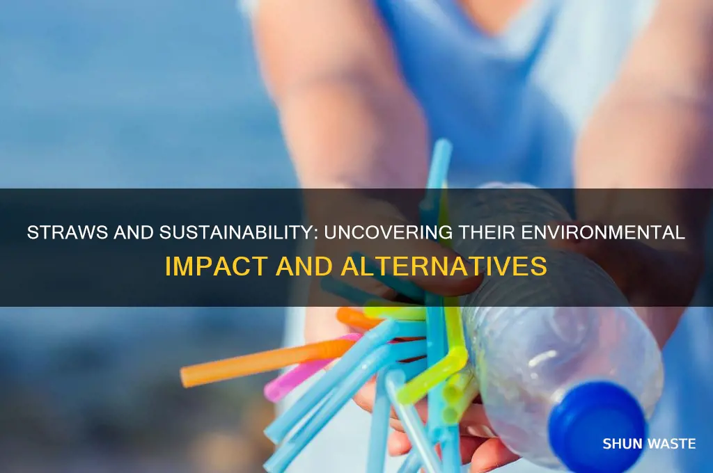 Straws And Sustainability: Uncovering Their Environmental Impact And ...