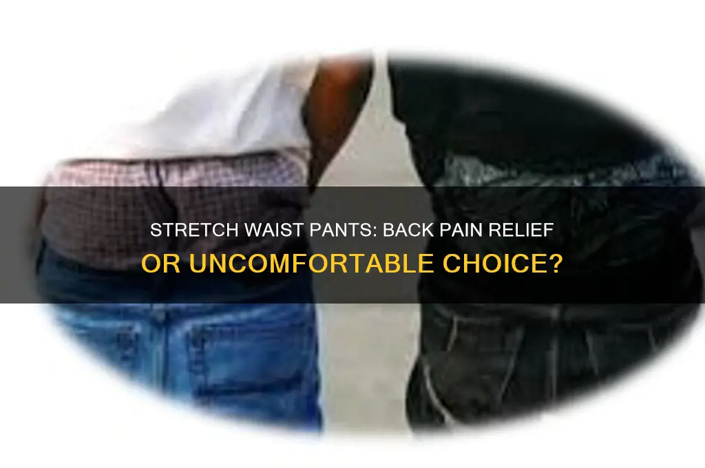 Stretch Waist Pants: Back Pain Relief Or Uncomfortable Choice? | ShunWaste