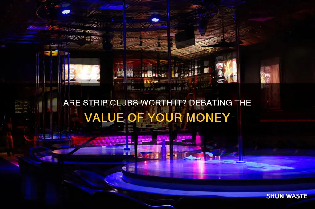 Are Strip Clubs Worth It? Debating The Value Of Your Money | ShunWaste