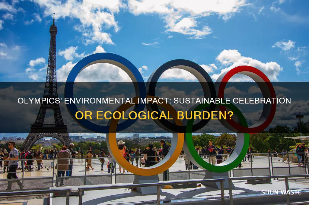 Olympics' Environmental Impact: Sustainable Celebration Or Ecological ...