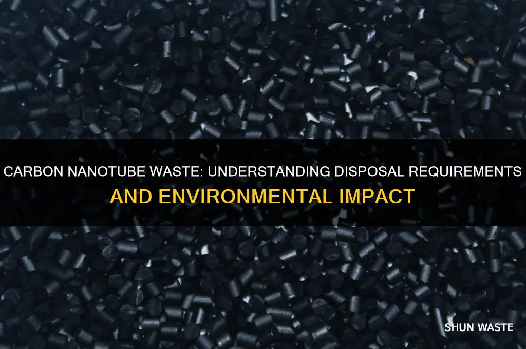 Carbon Nanotube Waste: Understanding Disposal Requirements And ...