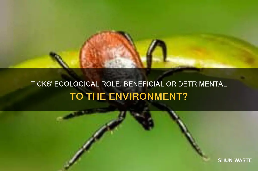 Ticks' Ecological Role: Beneficial Or Detrimental To The Environment ...