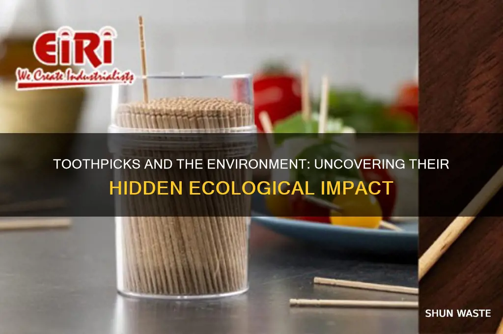 Toothpicks And The Environment: Uncovering Their Hidden Ecological ...