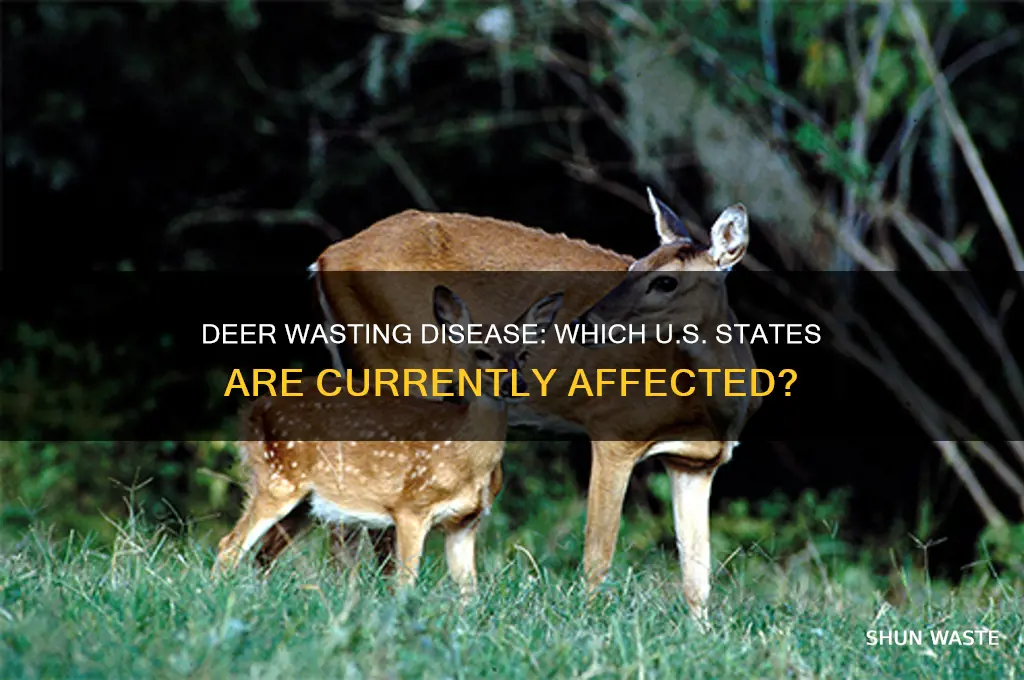 Deer Wasting Disease: Which U.S. States Are Currently Affected? | ShunWaste