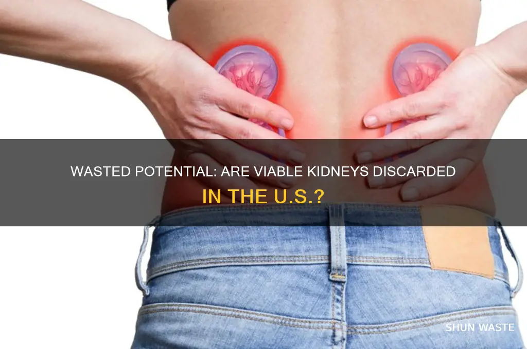 Wasted Potential: Are Viable Kidneys Discarded In The U.S.? | ShunWaste