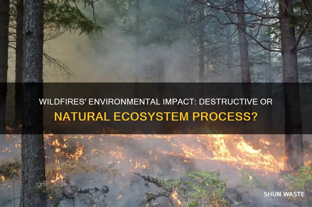 Wildfires' Environmental Impact: Destructive Or Natural Ecosystem ...