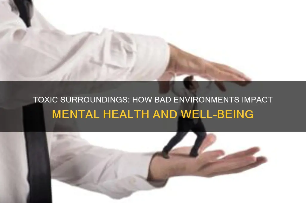 Toxic Surroundings: How Bad Environments Impact Mental Health And Well ...