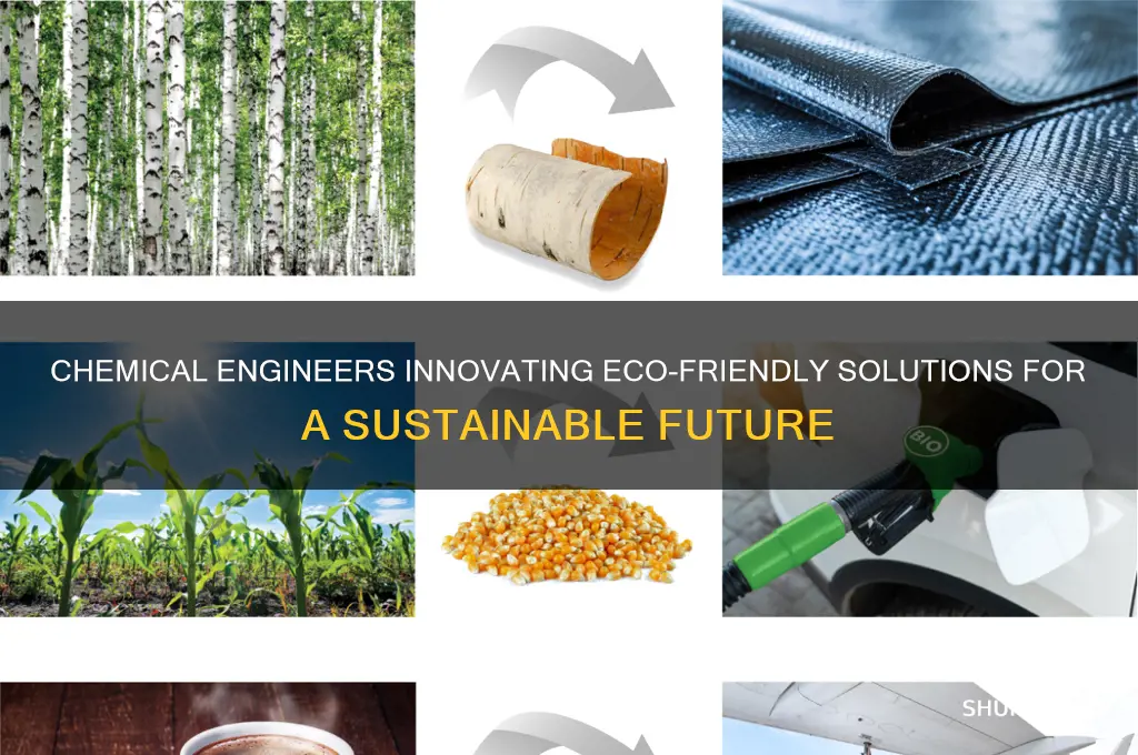 Chemical Engineers Innovating Eco-Friendly Solutions For A Sustainable ...
