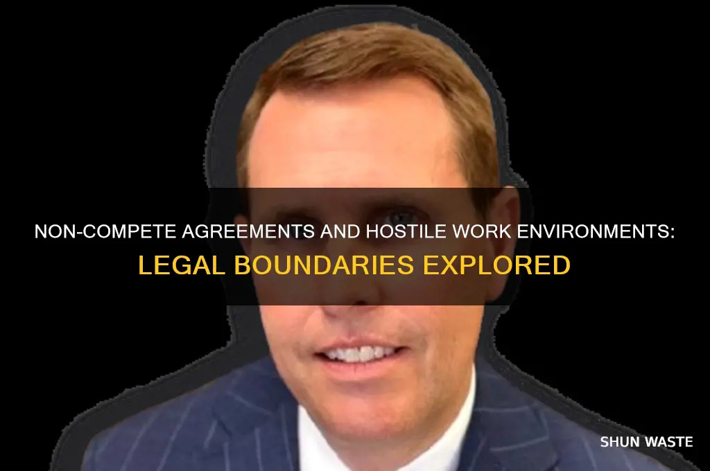 Non-Compete Agreements And Hostile Work Environments: Legal Boundaries ...
