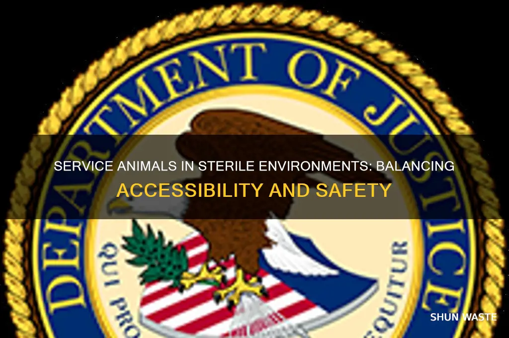 Service Animals In Sterile Environments: Balancing Accessibility And ...
