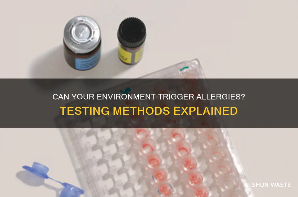 Can Your Environment Trigger Allergies? Testing Methods Explained ...