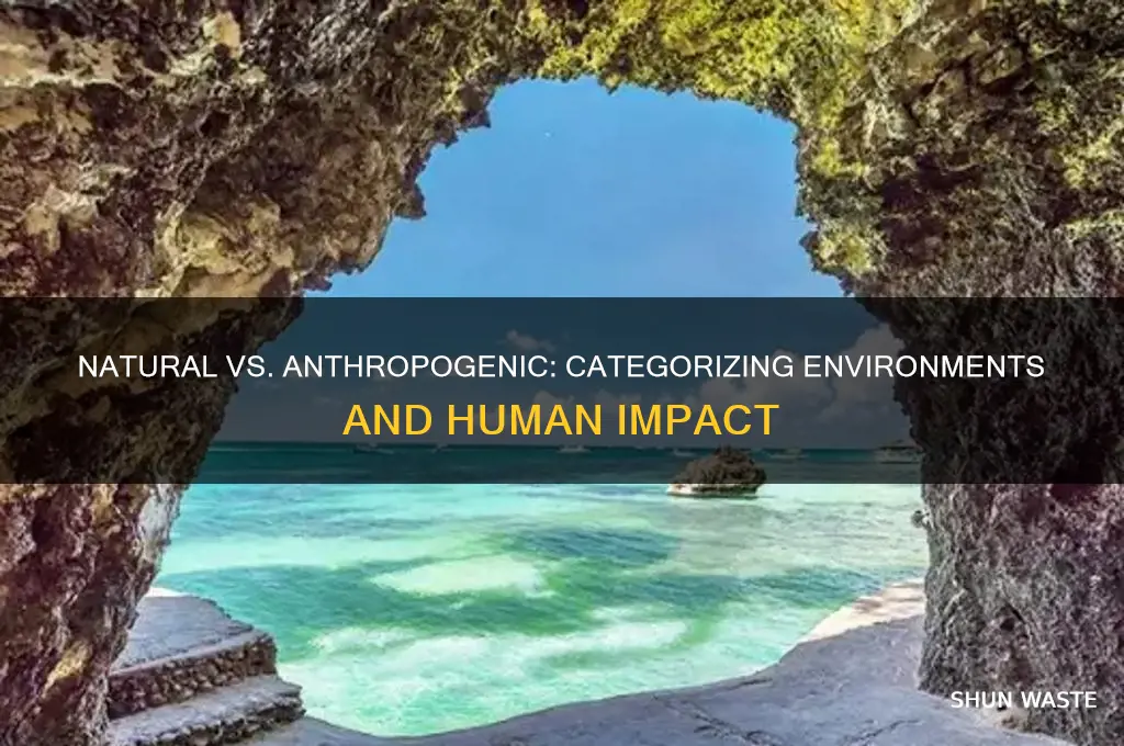 Natural Vs. Anthropogenic: Categorizing Environments And Human Impact ...