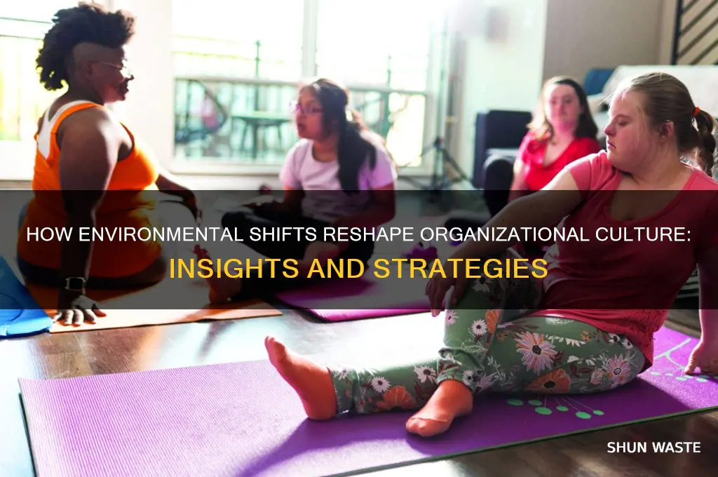 How Environmental Shifts Reshape Organizational Culture: Insights And ...