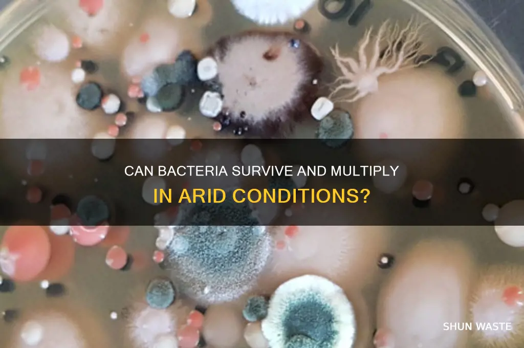 Can Bacteria Survive And Multiply In Arid Conditions? | ShunWaste
