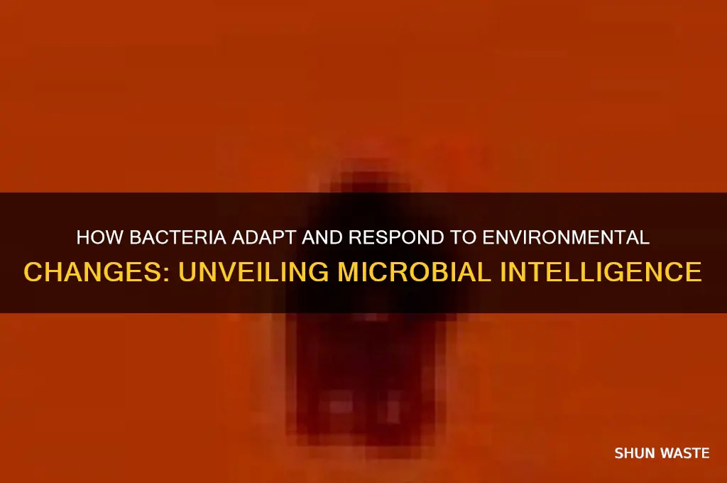 How Bacteria Adapt And Respond To Environmental Changes: Unveiling ...