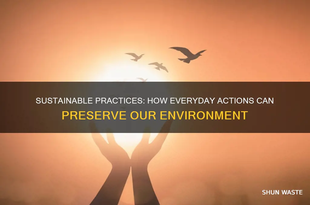 Sustainable Practices: How Everyday Actions Can Preserve Our ...