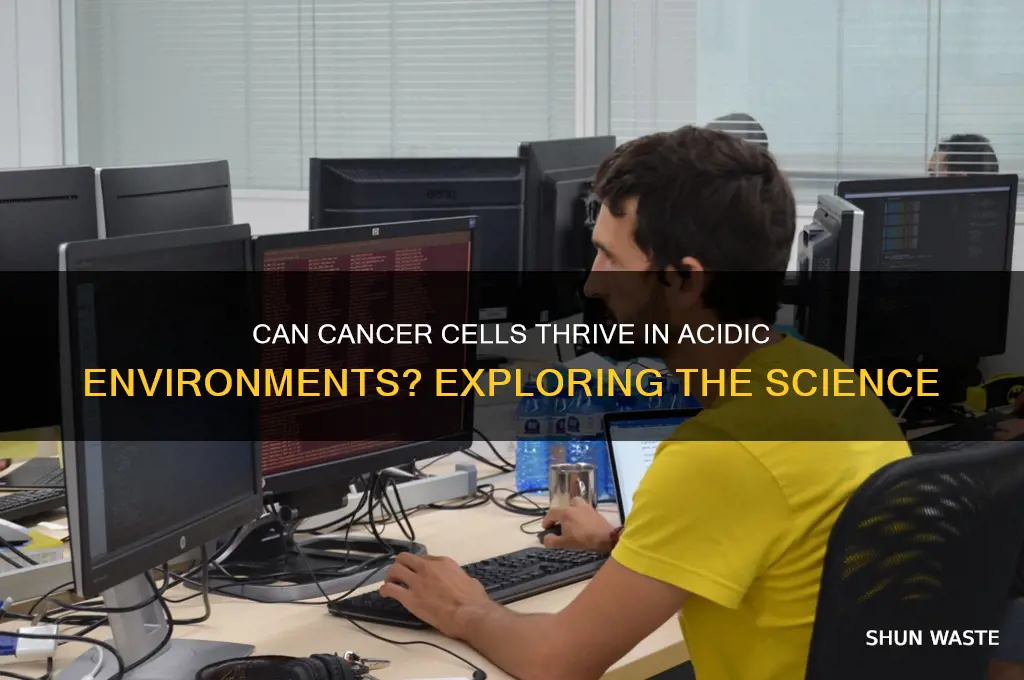Can Cancer Cells Thrive In Acidic Environments? Exploring The Science ...