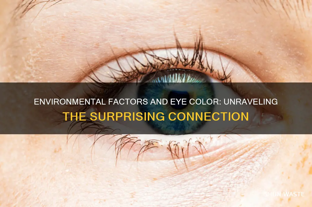 Environmental Factors And Eye Color: Unraveling The Surprising ...