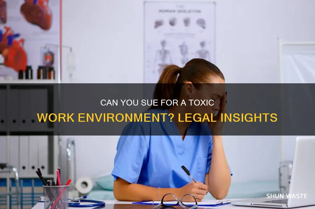 Can You Sue For A Toxic Work Environment? Legal Insights | ShunWaste