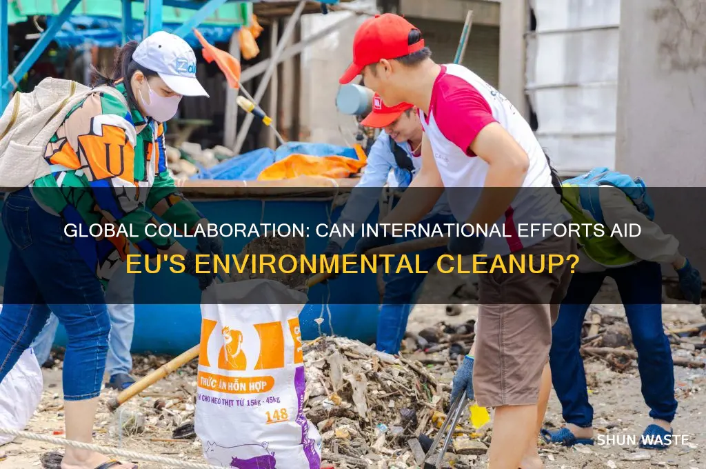 Global Collaboration: Can International Efforts Aid Eu's Environmental ...