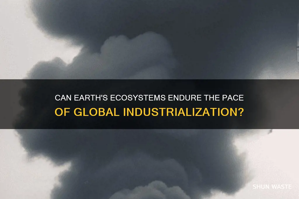 Can Earth's Ecosystems Endure The Pace Of Global Industrialization ...