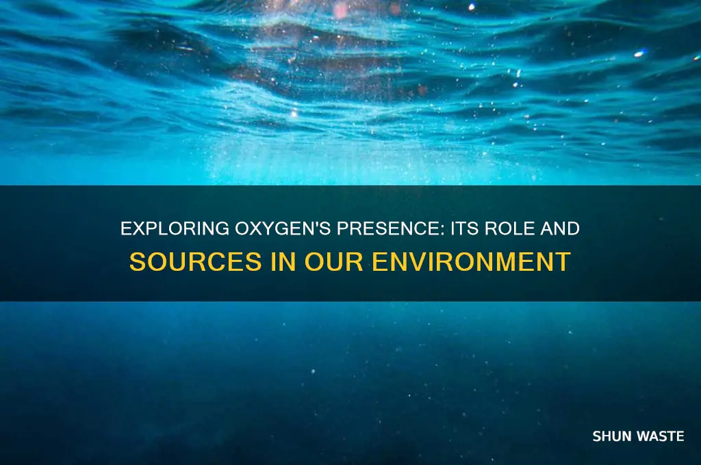 Exploring Oxygen's Presence: Its Role And Sources In Our Environment ...