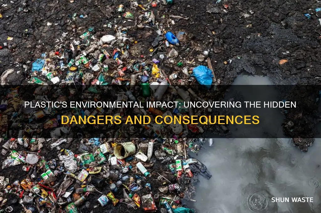 Plastic's Environmental Impact: Uncovering The Hidden Dangers And ...
