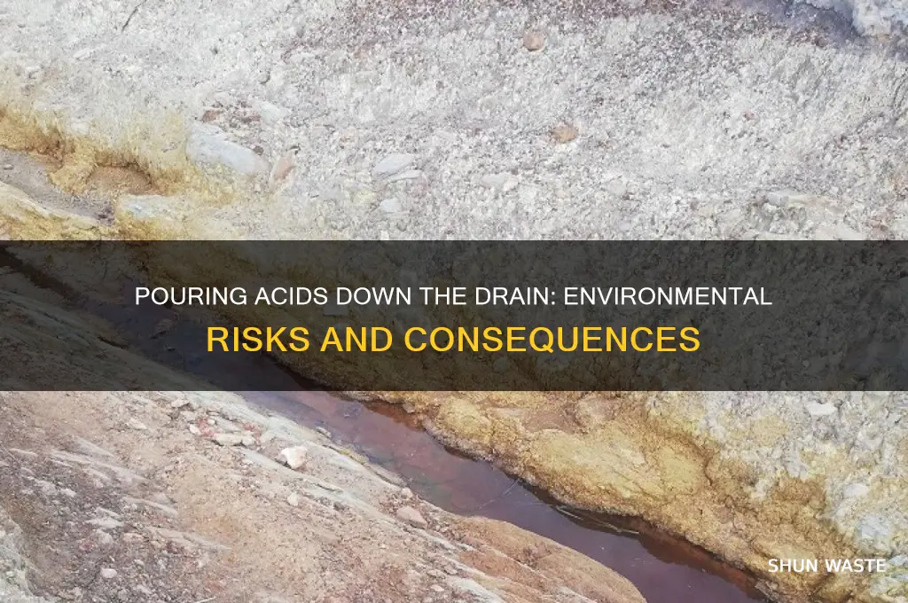 Pouring Acids Down The Drain: Environmental Risks And Consequences ...