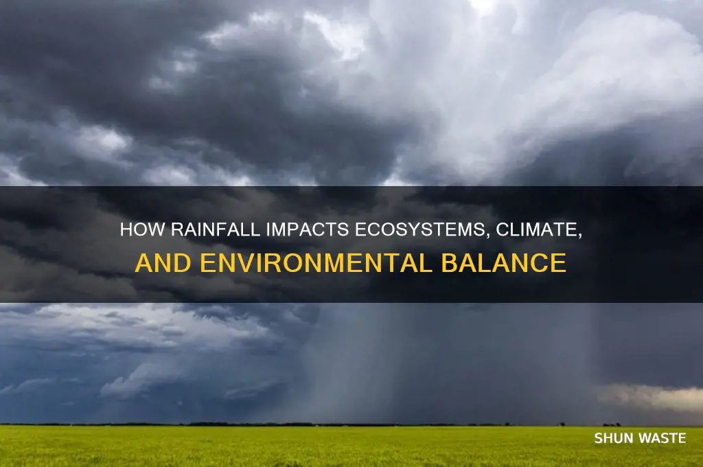 How Rainfall Impacts Ecosystems, Climate, And Environmental Balance ...