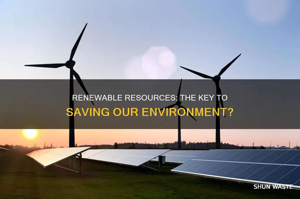 Renewable Resources: The Key To Saving Our Environment? | ShunWaste