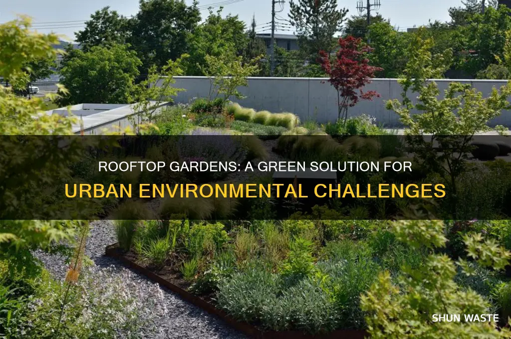 Rooftop Gardens: A Green Solution For Urban Environmental Challenges ...