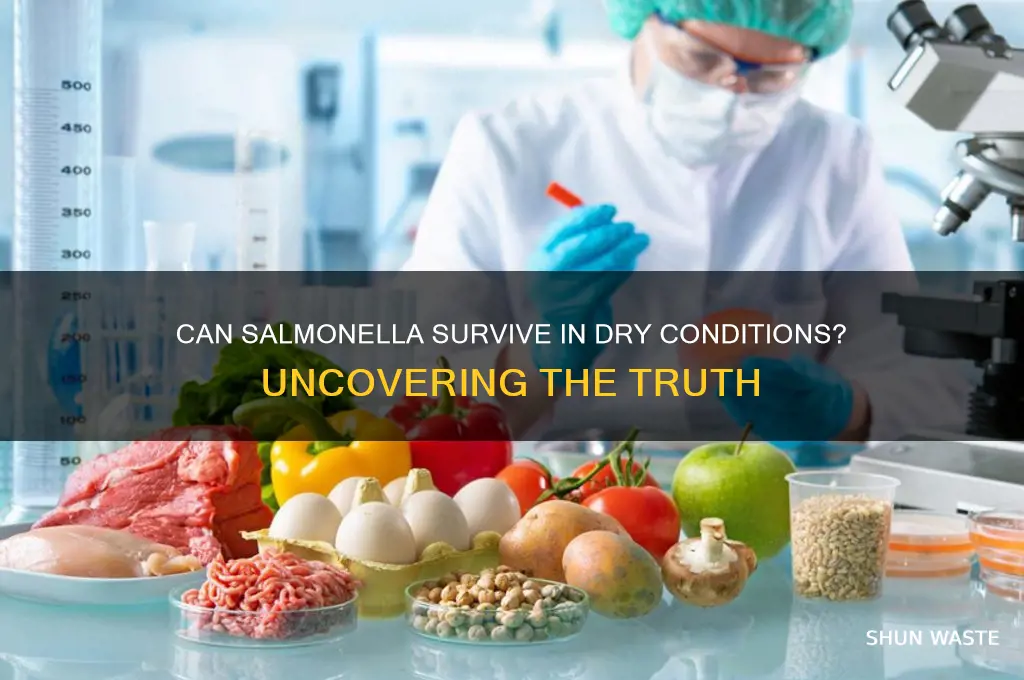 Can Salmonella Survive In Dry Conditions? Uncovering The Truth | ShunWaste
